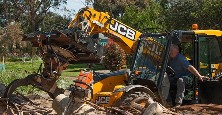 Tree Wise Men - White Pages®