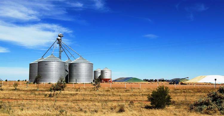 Carrathool Shire Council | Cobram Street, Goolgowi, NSW | White Pages®