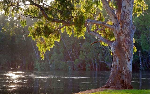 Indigo Shire Council - White Pages®