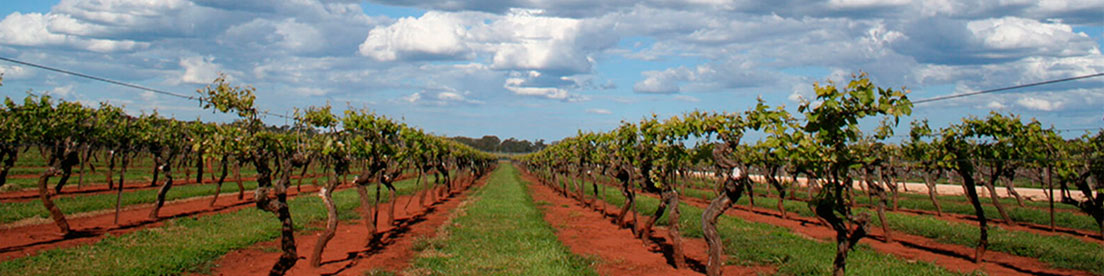 Wattle Range Council, Millicent Depot | Aberle Street, Millicent, SA ...