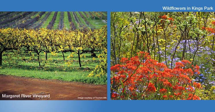 Constitutional Centre of Western Australia The in West Perth, WA ...