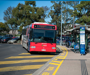 Bus Queensland - White Pages®