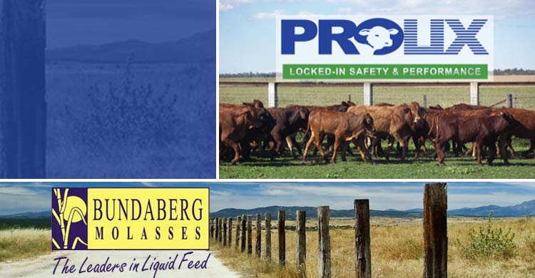 Prolix | White Pages®