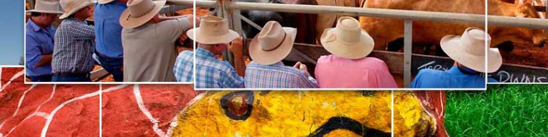 Maranoa Regional Council - White Pages®