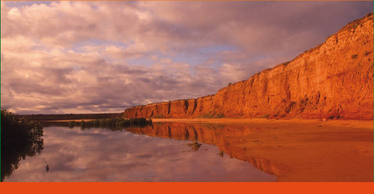 Australian Arid Lands Botanic Garden - White Pages®