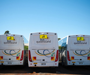 Bus Queensland | Taylor Street, Toowoomba, QLD | White Pages®