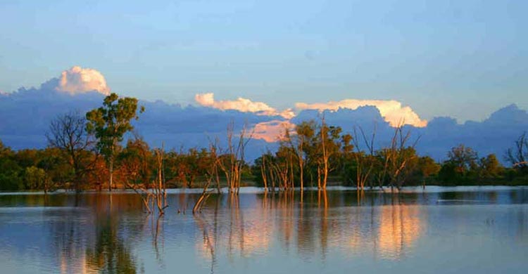 Australian Country Choice Pty Ltd | Nine Mile Road, Roma, QLD | White ...